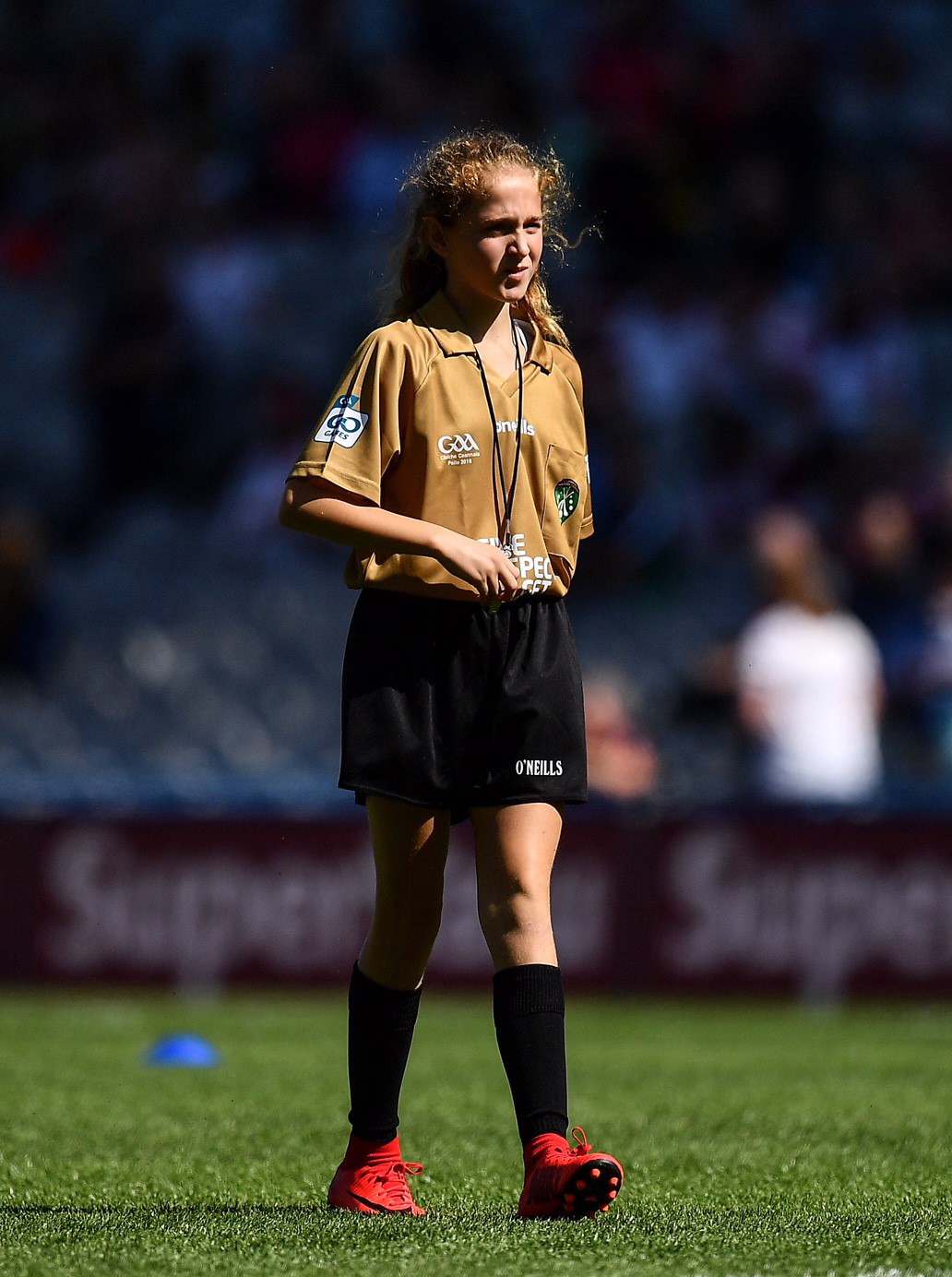 Réiteoir sa Scoil! | Gaelscoil Uí Riada