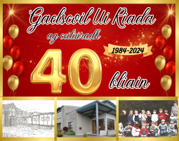 Gaelscoil Uí Riada | Wilton, Cork